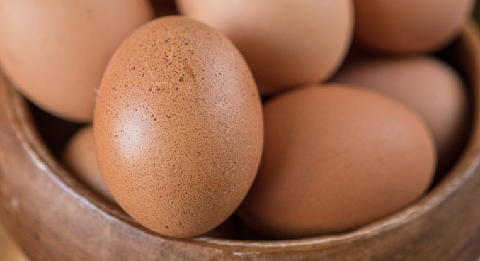 Chicken Pudding, a Favourite Virginia Dish - Going On Faith | Church ...