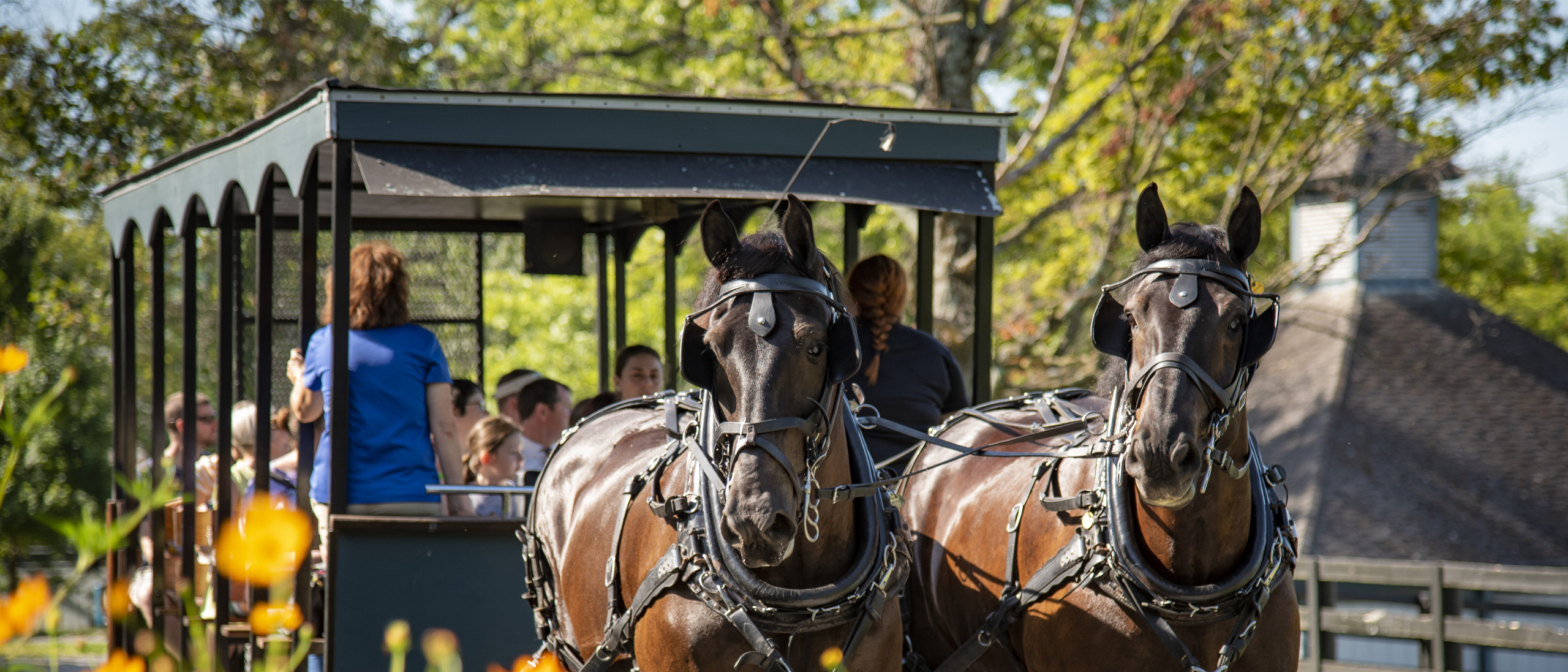 Four-Seasons Guide in Georgetown, Kentucky - Going On Faith | Church ...
